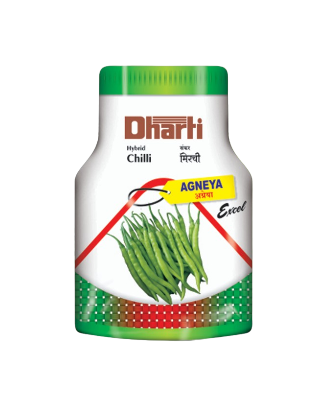 Hybrid Chilli Agneya by Dharti Seeds| 13-14 cm, High Yield