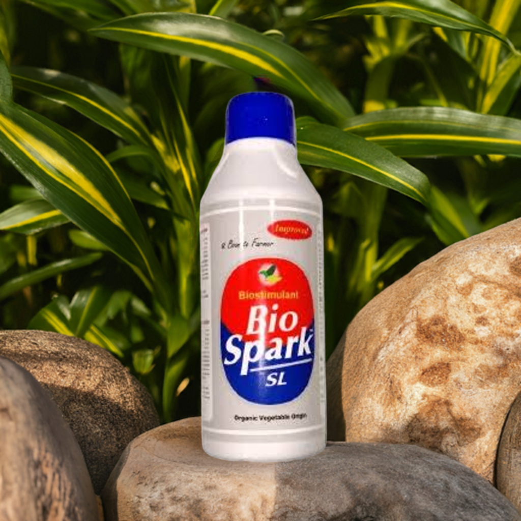 Bio Spark SL by Pasura - Eco-Friendly Biostimulant for Plant Growth