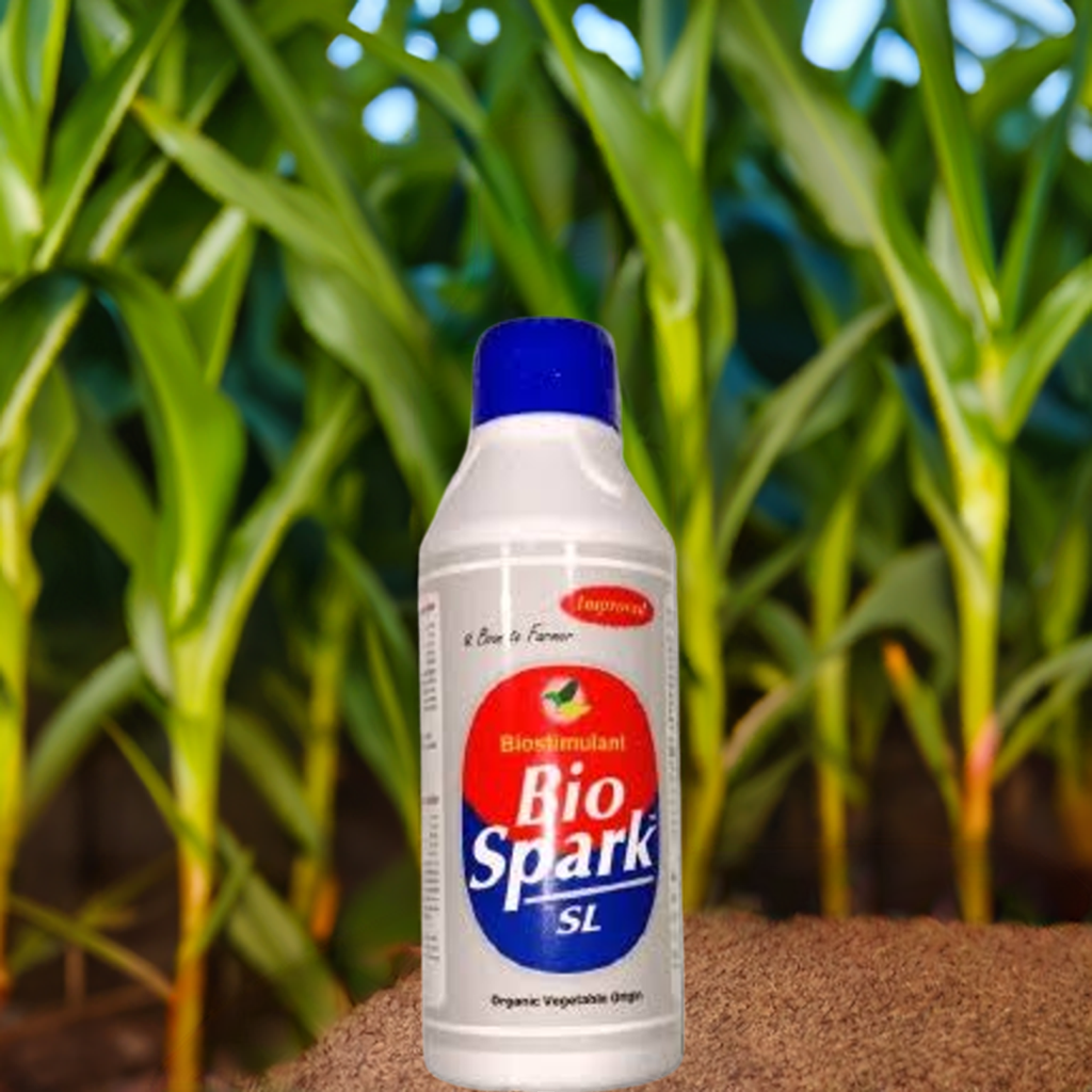 Bio Spark SL by Pasura - Eco-Friendly Biostimulant for Plant Growth