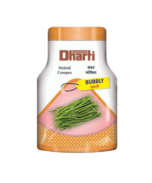 Cowpea Bubbly Seeds by Dharti Seeds - Hybrid Cowpea with High Yield