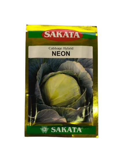 Hybrid Cabbage Neon by Sakata Seeds | Early Maturing & Firm Heads