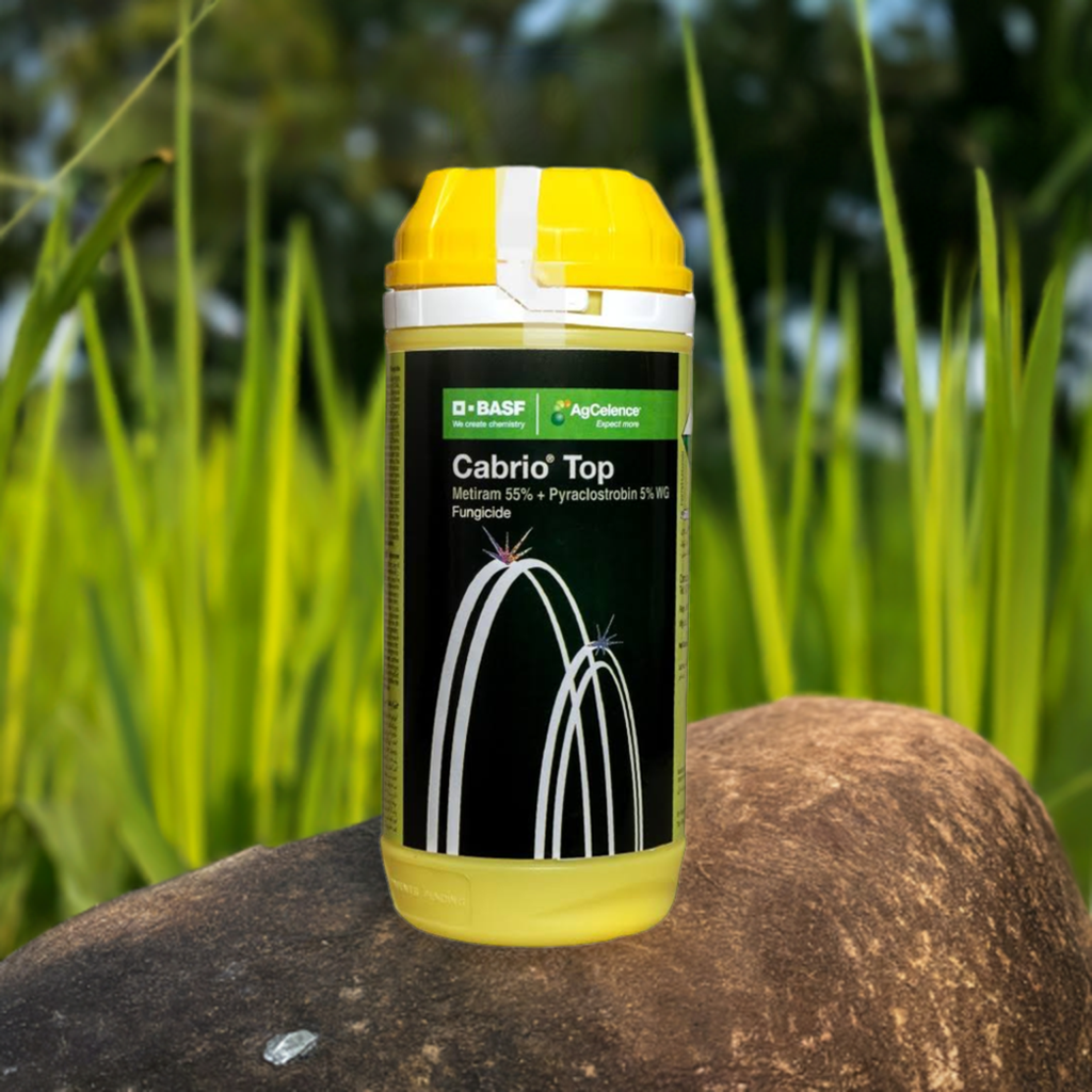 Cabrio Top 60 Wg Fungicide Metiram And Pyraclostrobin For Broad Spectrum Crop Protection