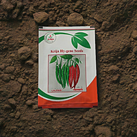 Chilli Lalpari Seeds – High Yield, Virus Tolerant | KrushiVista
