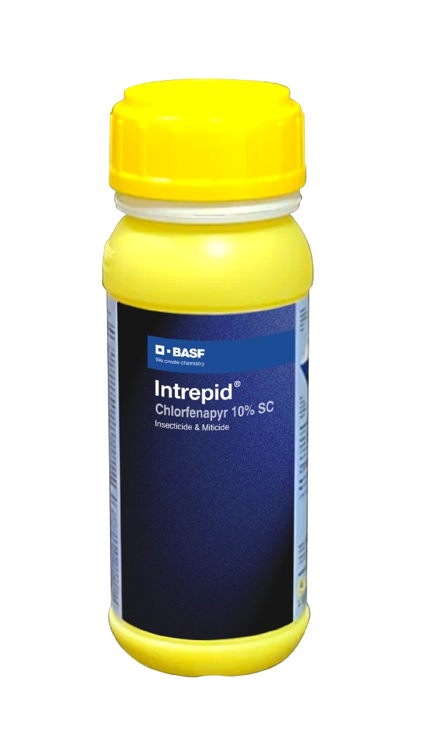 Intrepid Insecticide (Diacylhydrazine) by BASF for DBM & Mite Control