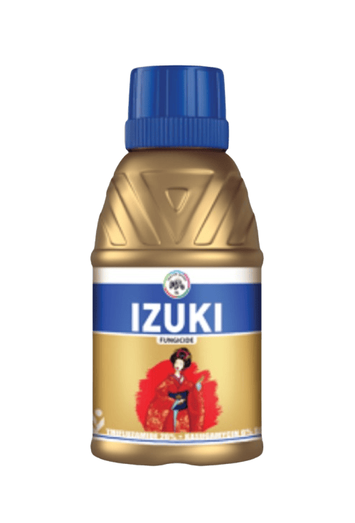 Izuki by Insecticides India – Fungicide & Bactericide for Paddy Crops | KrushiVista