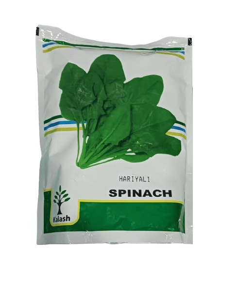 Kalash Palak Spinach Hariyalli-500gm – Quick Growing, Broad Leaves ...