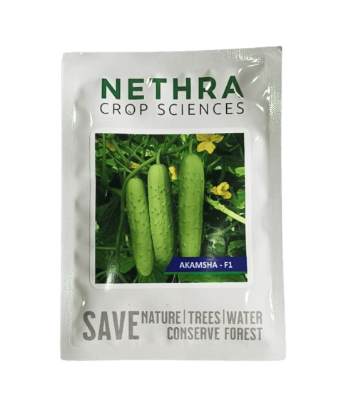 Nethra Seeds Cucumber Akamsha F1 - 25gm | High Yield & Disease Tolerant ...