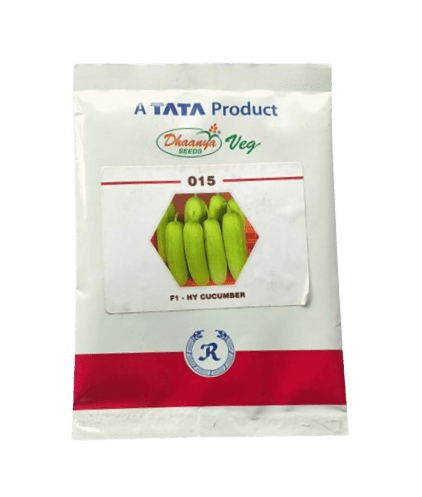 Rallis Dhaanya Seeds 015 F1 Hybrid Cucumber Seeds - 25 gm | Vigorous ...