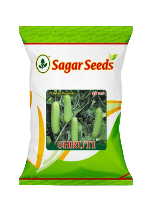 Sagar Cucumber Shruti F1 Hybrid Seeds - 25 gm | Early-Maturing, High Productivity