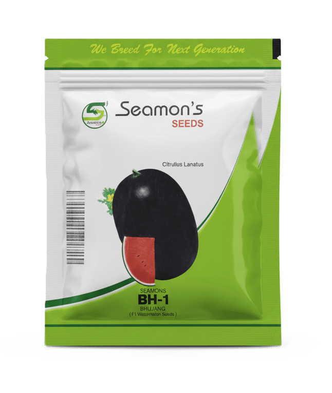 Hybrid Watermelon Seeds BH-1 Bhujang | Seamon's Seeds