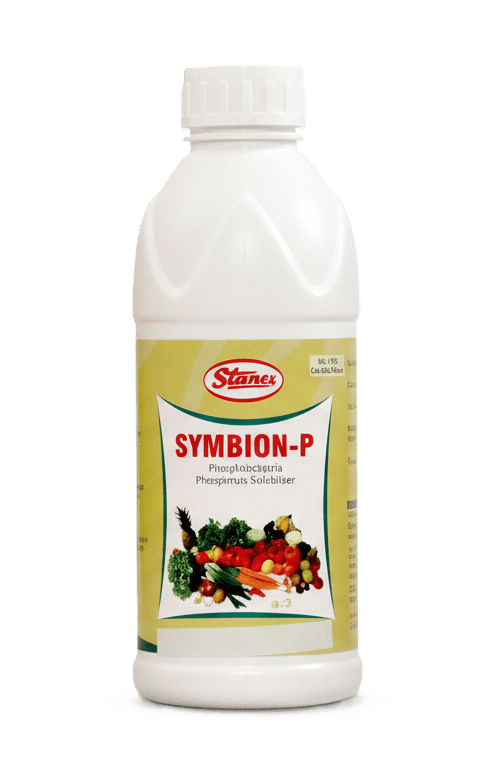 SYMBION-P by STANES AND COMPANY
