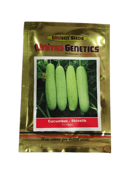 United Gentics Cucumber Shivalik-25gm | High Yielding, Early Maturity Variety