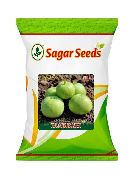 Naresh F-1 Hybrid Tinda by Sagar Seeds - High-Yielding Hybrid Variety